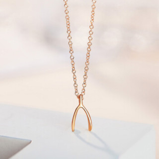 DOGEARED Wish Big Wishbone 许愿骨项链【报价 价格 评测 怎么样】 -什么值得买