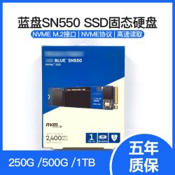 西部数据固态硬盘_Western Digital 西部数据 西数 WD 蓝盘SN570 500G SSD M.2固态硬盘 NVME多少钱-什么值得买