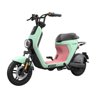 Ninebot 九号 C80 电动自行车 TDT003Z 48V24Ah锂电池 春风粉绿【报价 价格 评测 怎么样】 -什么值得买