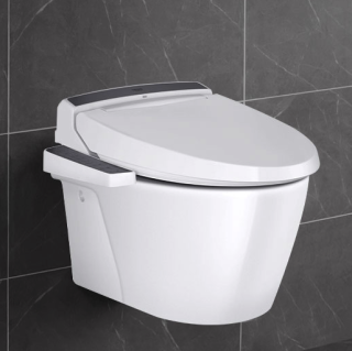 GROHE 高仪 38528001+38732000+3855800M+39384L00 智能壁挂式马桶套装【报价 价格 评测 怎么样】 -什么值得买