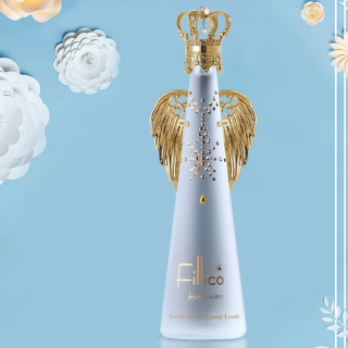 FILLICO 菲丽高 矿泉水 720ml【报价 价格 评测 怎么样】 -什么值得买