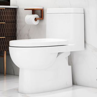 KOHLER 科勒 瑞琦系列 K-4012T-S2-0 连体式马桶 400mm坑距【报价 价格 评测 怎么样】 -什么值得买