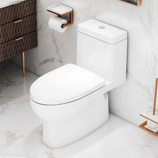 KOHLER 科勒 瑞琦系列 K-4012T-S2-0 连体式马桶 400mm坑距【报价 价格 评测 怎么样】 -什么值得买