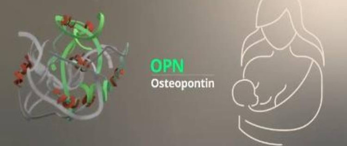 OPN活性蛋白介绍_解释_什么意思-什么值得买