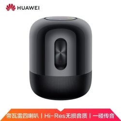 智能蓝牙音箱_HUAWEI 华为 Sound X 智能音箱多少钱-什么值得买