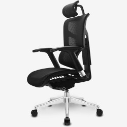 【省490元】家用电脑椅_Ergomax 迩高迈思 Commander 人体工学电脑椅多少钱-什么值得买