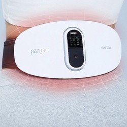 攀高按摩保健_pangao 攀高 PG-2645 腰部按摩器 珍珠白多少钱-什么值得买