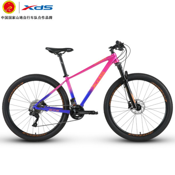 XDS 喜德盛 炫600 山地车 20速 17寸【报价 价格 评测 怎么样】 -什么值得买