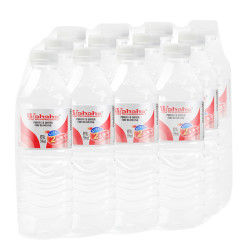 娃哈哈饮用水_WAHAHA 娃哈哈 饮用纯净水 596ml*12/24瓶多少钱-什么值得买