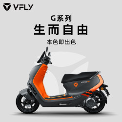 雅迪骑行运动_Yadea 雅迪 VFLY G100 MAX 3000W电机电动摩托车多少钱-什么值得买