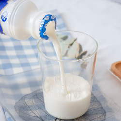 夏进牛奶_夏进 纯牛奶 195ml*24瓶 塞上牧场营养早餐牛奶整箱 礼盒装多少钱-什么值得买