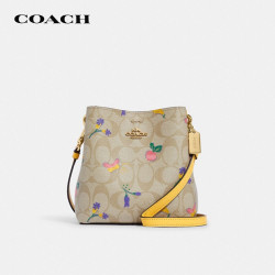【省229元】蔻驰女士斜挎包_COACH 蔻驰 女士水桶包 小号 C8255 IMTVE多少钱-什么值得买