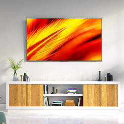 【省719.98元】高清电视机_FFALCON 雷鸟 凤6系列 R645C mini LED 4K液晶电视 65英寸多少钱-什么值得买