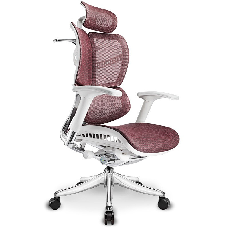 年终给自己一个鼓励—Ergomax Evolution人体工学椅开箱_电脑椅_什么值得买