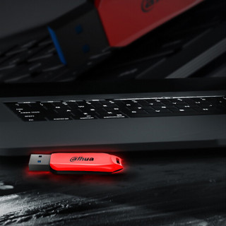 da hua 大华 U176-31系列 DH-USB-U176-31-128G USB3.2 U盘 红色 128GB USB【报价 价格 评测 怎么样】 -什么值得买