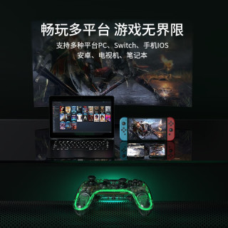 黑爵（AJAZZ） AG110有线游戏手柄 即插即用 switch电脑PC steam任天堂NS 透明-AG190【报价 价格 评测 怎么样】 -什么值得买