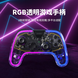 黑爵（AJAZZ） AG110有线游戏手柄 即插即用 switch电脑PC steam任天堂NS 透明-AG190【报价 价格 评测 怎么样】 -什么值得买