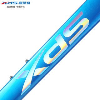 XDS 喜德盛 公路自行车RF380进阶空气力学隐藏式走线破风车架 18速禧玛诺变速 胖圈碟刹 蓝/镭射银 700C【报价 价格 评测 怎么样 ...
