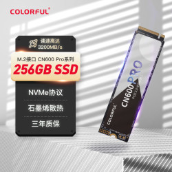 七彩虹硬盘_COLORFUL 七彩虹 256GB 固态硬盘 M.2接口(NVMe协议) CN600 PRO系列多少钱-什么值得买