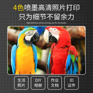 Canon 佳能 TS3480/3460打印机家用小型彩色照片无线喷墨办公复印机扫描一体机学生作业 TS3460标配【报价 价格 评测 怎么样 ...