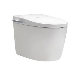 【省1920元】智能马桶_GROHE 高仪 艾吉娜系列 39932SH0 智能马桶一体机 轻享版 305mm多少钱-什么值得买