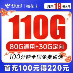 中国电信运营商_CHINA TELECOM 中国电信 梅花卡 19元月租（80G通用流量+30G定向流量+100分钟通话）多少钱-什么值得买