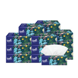 【省30元】得宝抽纸_Tempo 得宝 艺术系列 抽纸 4层90抽15包（160*195mm）多少钱-什么值得买