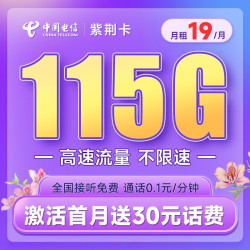 中国电信运营商_CHINA TELECOM 中国电信 紫荆卡 19元月租（65G通用流量+30G定向流量+20G闲时流量）多少钱-什么值得买