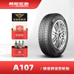 【省40元】轮胎_朝阳轮胎 舒适型轿车胎 A107系列 到店安装 205/55R16 91W多少钱-什么值得买