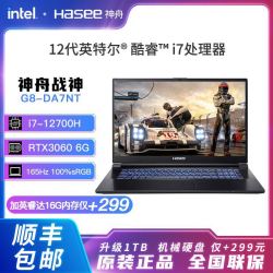 神舟笔记本电脑_Hasee 神舟 战神G8-DA7NT 新12代i7-12700H RTX3060 17.3英寸游戏本电脑多少钱-什么值得买