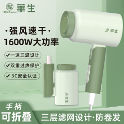 华生美发小家电_Wahson 华生 电家用护发理发店专用大功率风力风筒专业吹风机6613多少钱-什么值得买