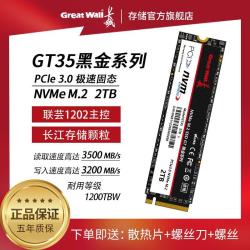 长城硬盘_Great Wall 长城 GT35 1T 2T长江储存512G M.2 NVMe SSD 固态硬盘高速 PCIE3.0多少钱-什么值得买