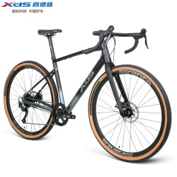 【省1000元】喜德盛公路车_XDS 喜德盛 GT300 碳纤维公路自行车多少钱-什么值得买