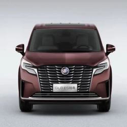 别克MPV_BUICK 别克 GL8 ES 陆尊 653T 舒适型 碧玺棕多少钱-什么值得买