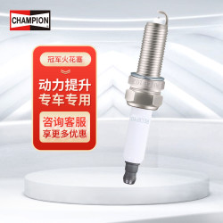 冠军火花塞_CHAMPION 冠军 铂金3032八支装 道奇酷威战马挑战者/吉普大切诺基/克莱斯勒(北京奔驰)300C铂锐多少钱-什么值得买
