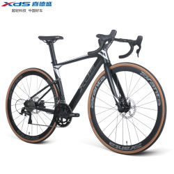 喜德盛骑行运动_XDS 喜德盛 2023新款AD350破风公路自行车20速油压碟刹竞技变速单车多少钱-什么值得买