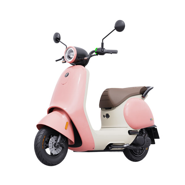 Ninebot 九号 Q系列 Q80C 电动轻便摩托车 JH800DQT-7 60V23Ah铅酸电池【报价 价格 评测 怎么样】 -什么值得买