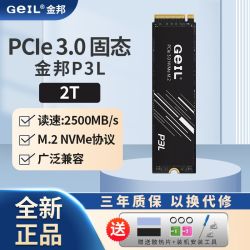 【省45元】金邦固态硬盘_GeIL 金邦 P3L 2TB固态硬盘M.2 PCle 2280NVMe协议笔记本台式机通用多少钱-什么值得买