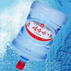 娃哈哈水_WAHAHA 娃哈哈 桶装水 饮用纯净水16.8L/桶多少钱-什么值得买