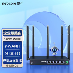 【省30元】磊科路由器_netcore 磊科 全千兆无线路由器B6商铺专用wifi企业级5G双频1200M高速多WAN口铁壳5天线路由多少钱 ...