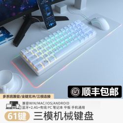 【省100元】Readson键盘_Readson 61键机械键盘有线无线蓝牙三模青红轴黑轴茶轴iPad平板迷你68键盘多少钱-什么值得买