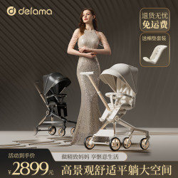 【省2300元】德拉玛婴儿推车_DELAMA 德拉玛 婴儿推车 q2多少钱-什么值得买