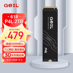 金邦硬盘_GeIL 金邦 2TB SSD固态硬盘 M.2接口(PCIe 4.0 x4)NVMe SSD游戏高性能版 高速5000MB/S P4L系列多少钱-什么值得买