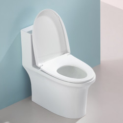 【省539元】惠达马桶_HUIDA 惠达 HDC6339A 虹吸式马桶 305mm多少钱-什么值得买