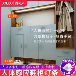 得利来其他灯饰_DOLILO 得利来 人体感应鞋柜灯led灯带长条自动感应灯家用过道卧室感应衣柜灯条多少钱-什么值得买