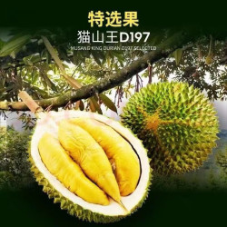 【省359元】花音谷榴莲_马来西亚 D197猫山王2.8-3.3斤 实惠果形保3房多少钱-什么值得买