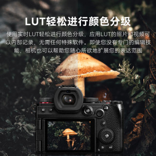 松下 S5M2/S5II/S5二代/S5 mark2 微单/全画幅数码相机 相位混合型对焦实时LUT S5M2丨50mm+24-105mm双白盒 套装【报价 价格 评测 怎么样】 -什么值得买