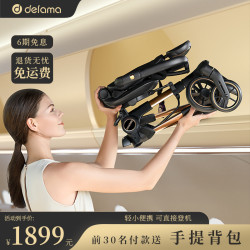 【省900元】德拉玛学步车_DELAMA 德拉玛 溜娃神器轻便折叠婴儿车遛娃可坐可躺便携简易可登机推车S1多少钱-什么值得买