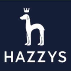 哈吉斯男装_京东 HAZZYS官方旗舰店 领每满300减30元！-什么值得买