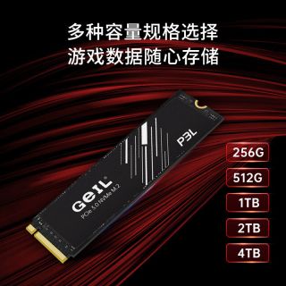 GeIL 金邦 P3L NVMe M.2 固态硬盘 4TB（PCI-E3.0）【报价 价格 评测 怎么样】 -什么值得买